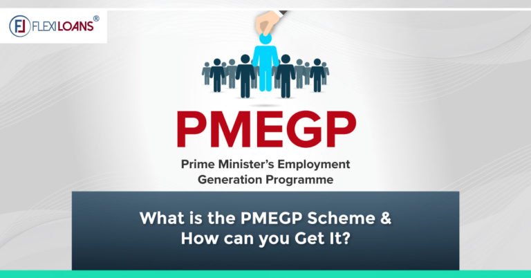 PMEGP Scheme Guide – Apply for Government Support