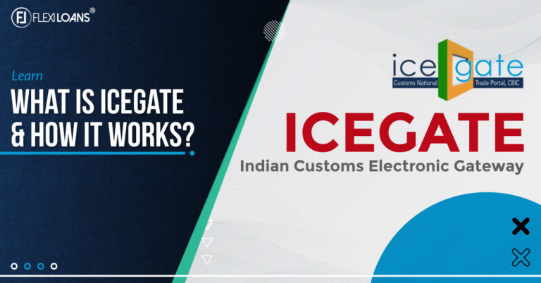 ICEGATE Portal – Guide for Indian Importers & Exporters